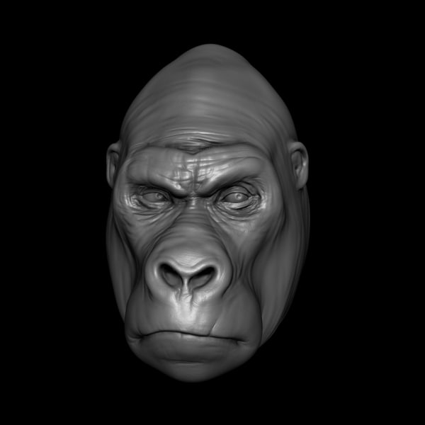 maya gorilla face zbrush