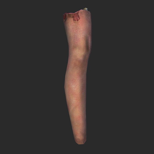 3d mutilated human leg