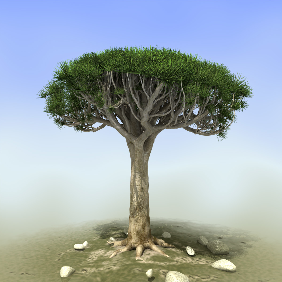 3d african tree