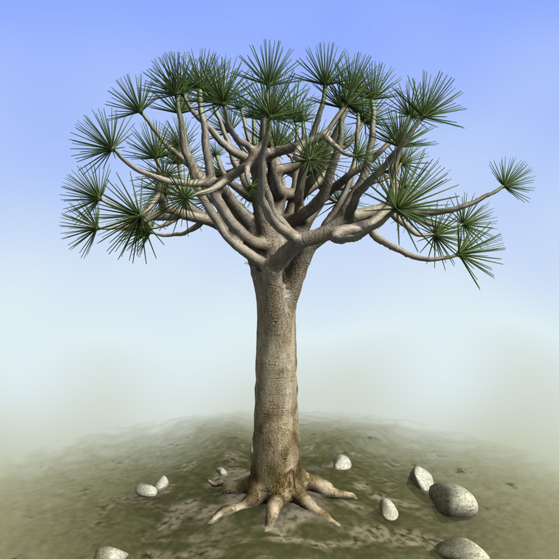 3d african tree