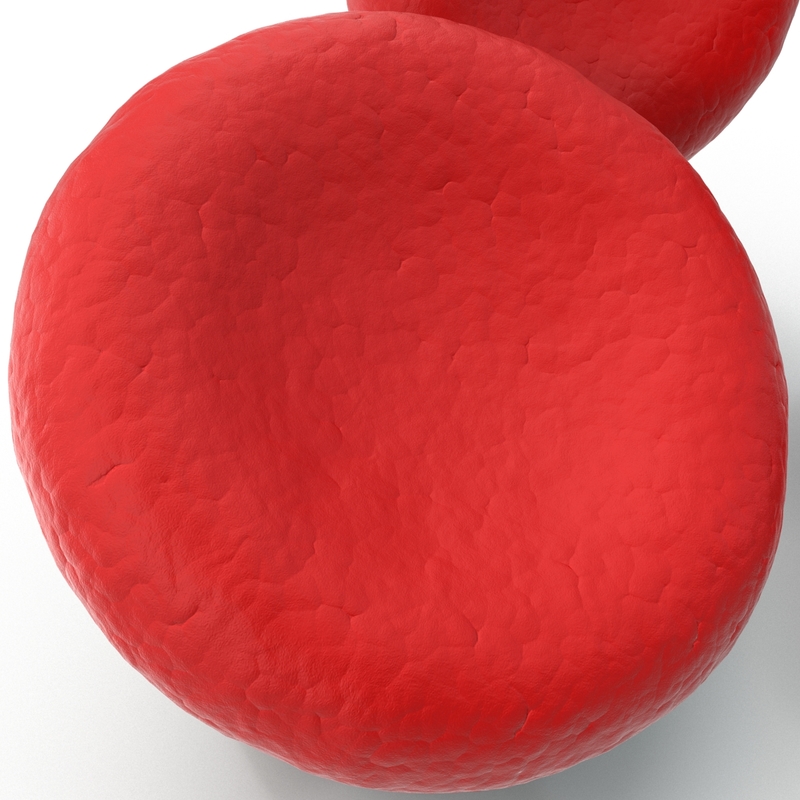 3d model red blood cell