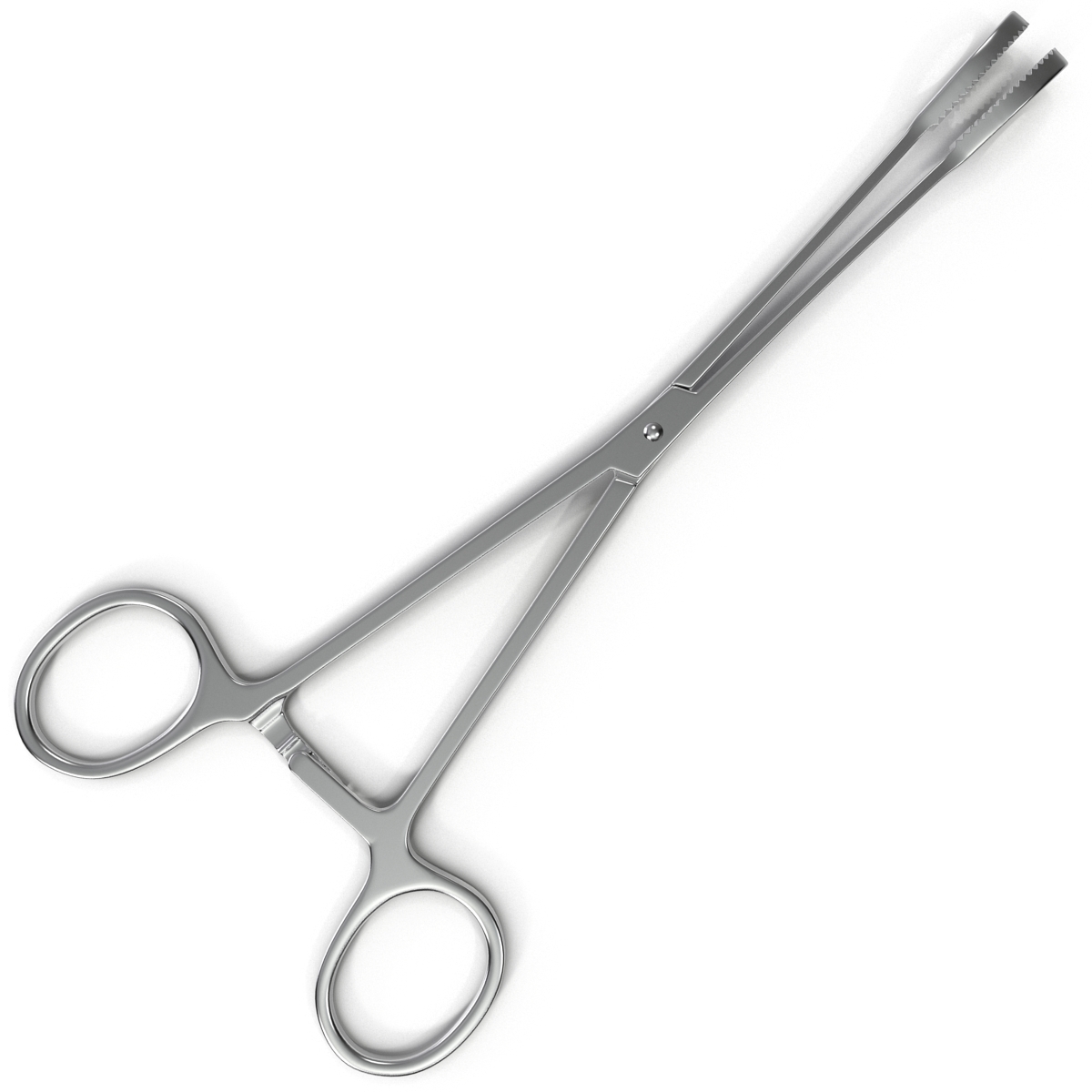 sponge forceps 3d model