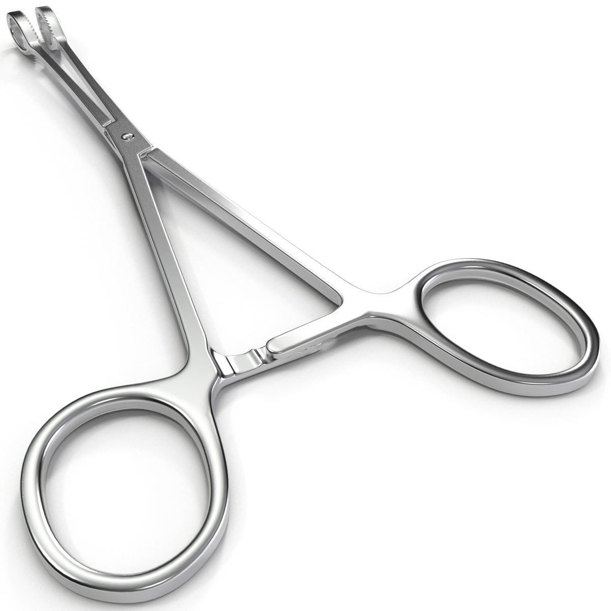sponge forceps 3d model