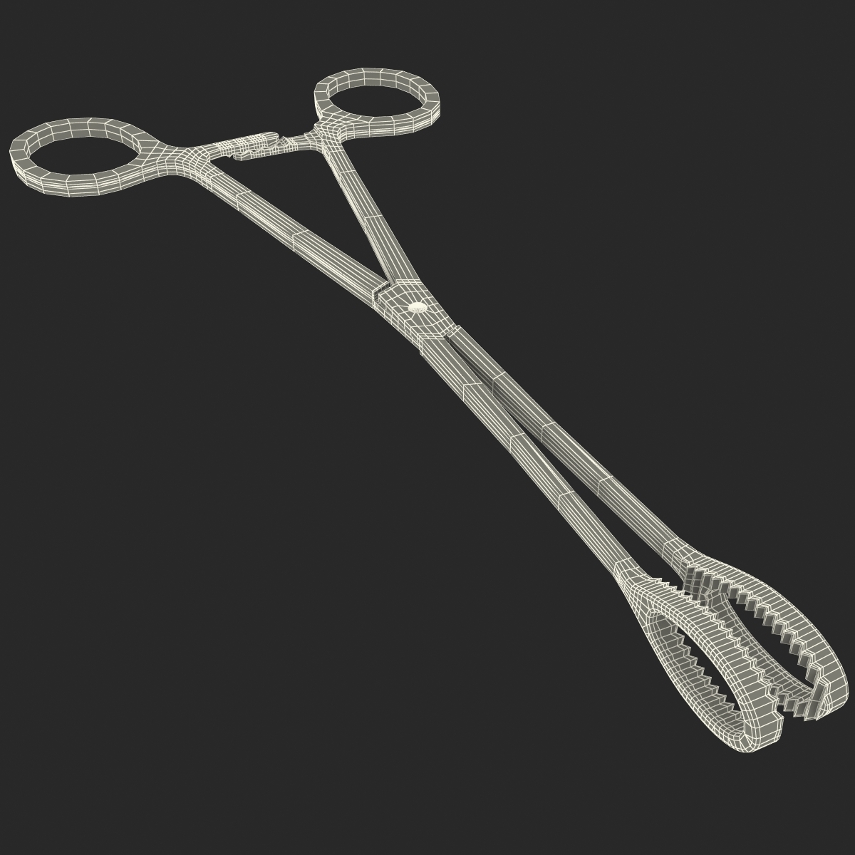 sponge forceps 3d model
