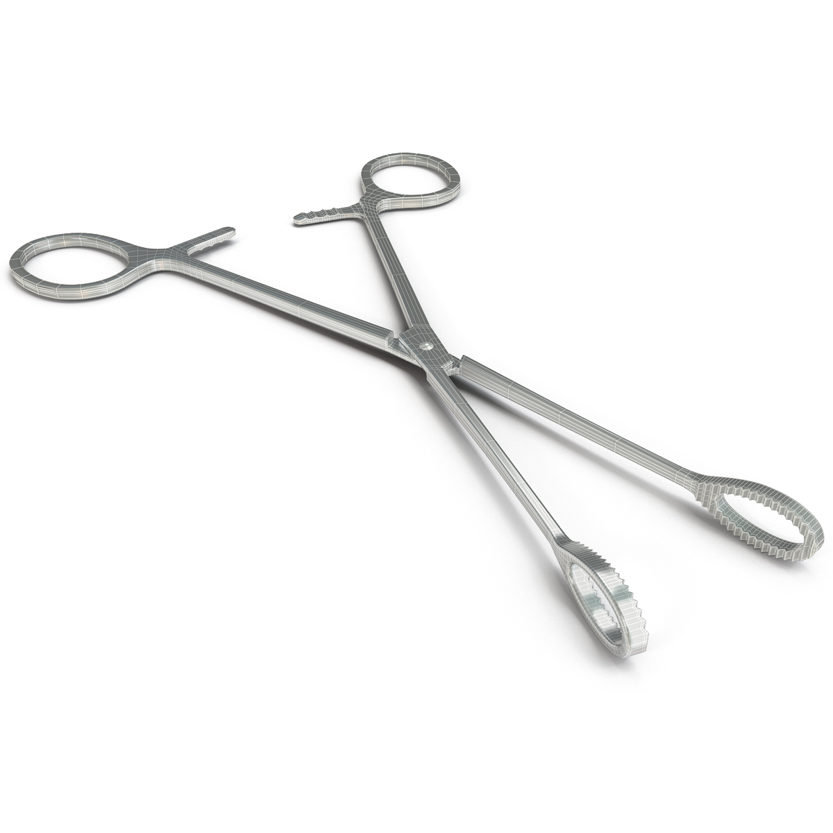sponge forceps 3d model