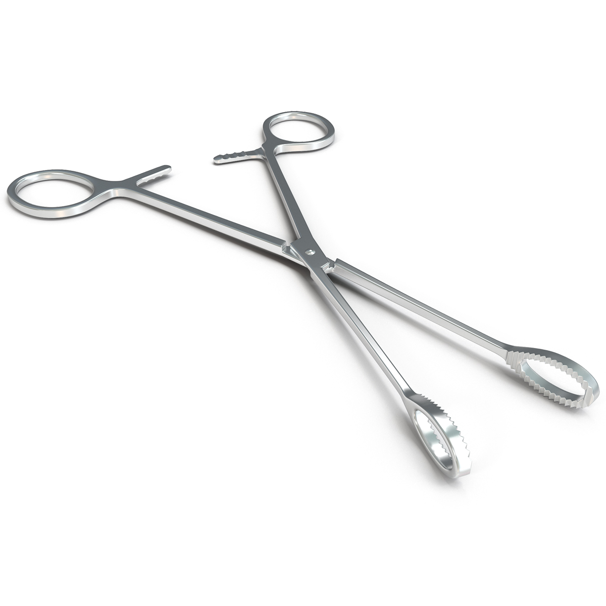 sponge forceps 3d model
