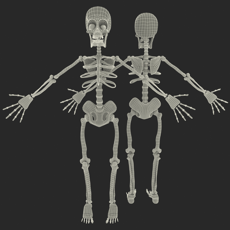 3d cartoon skeleton