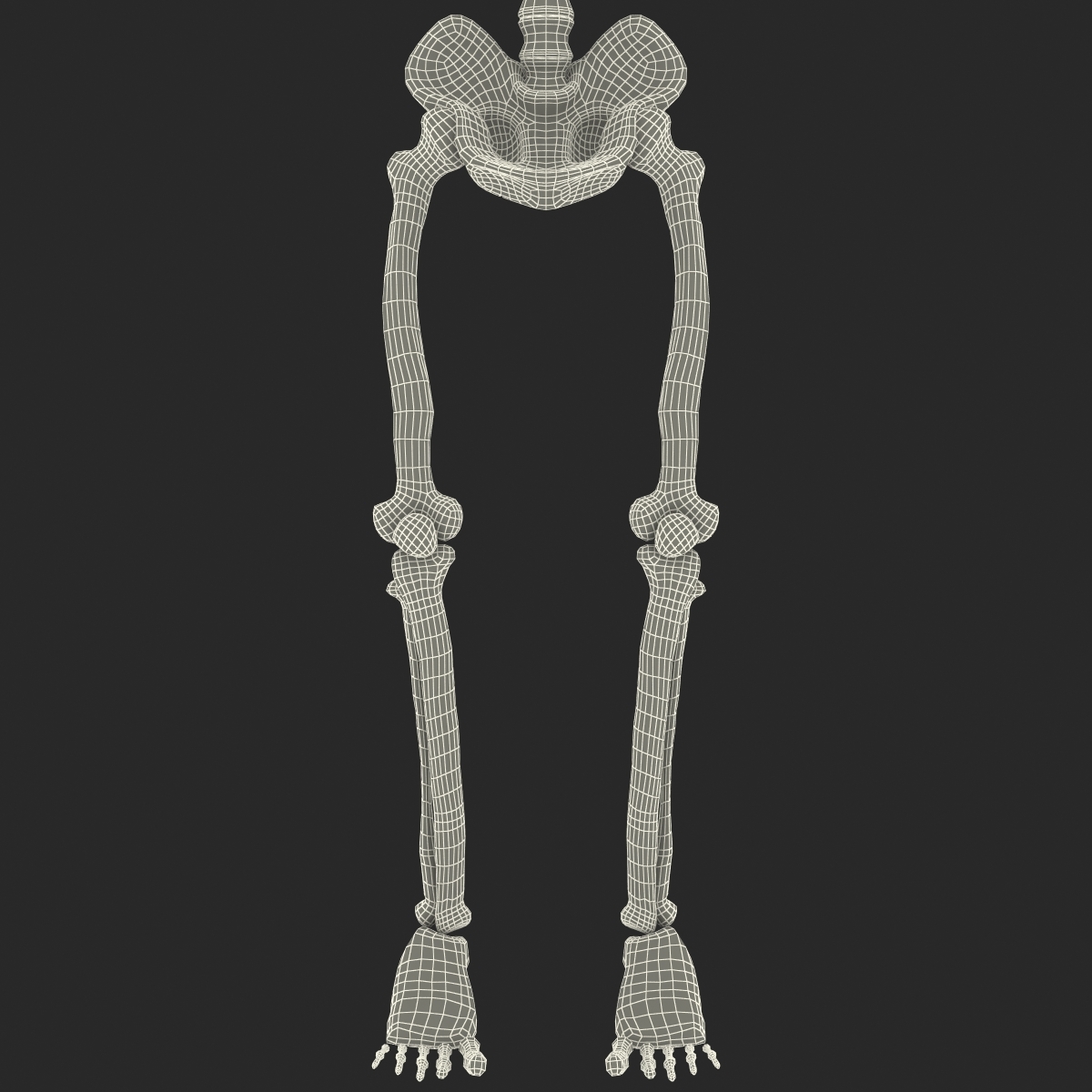 3d cartoon skeleton