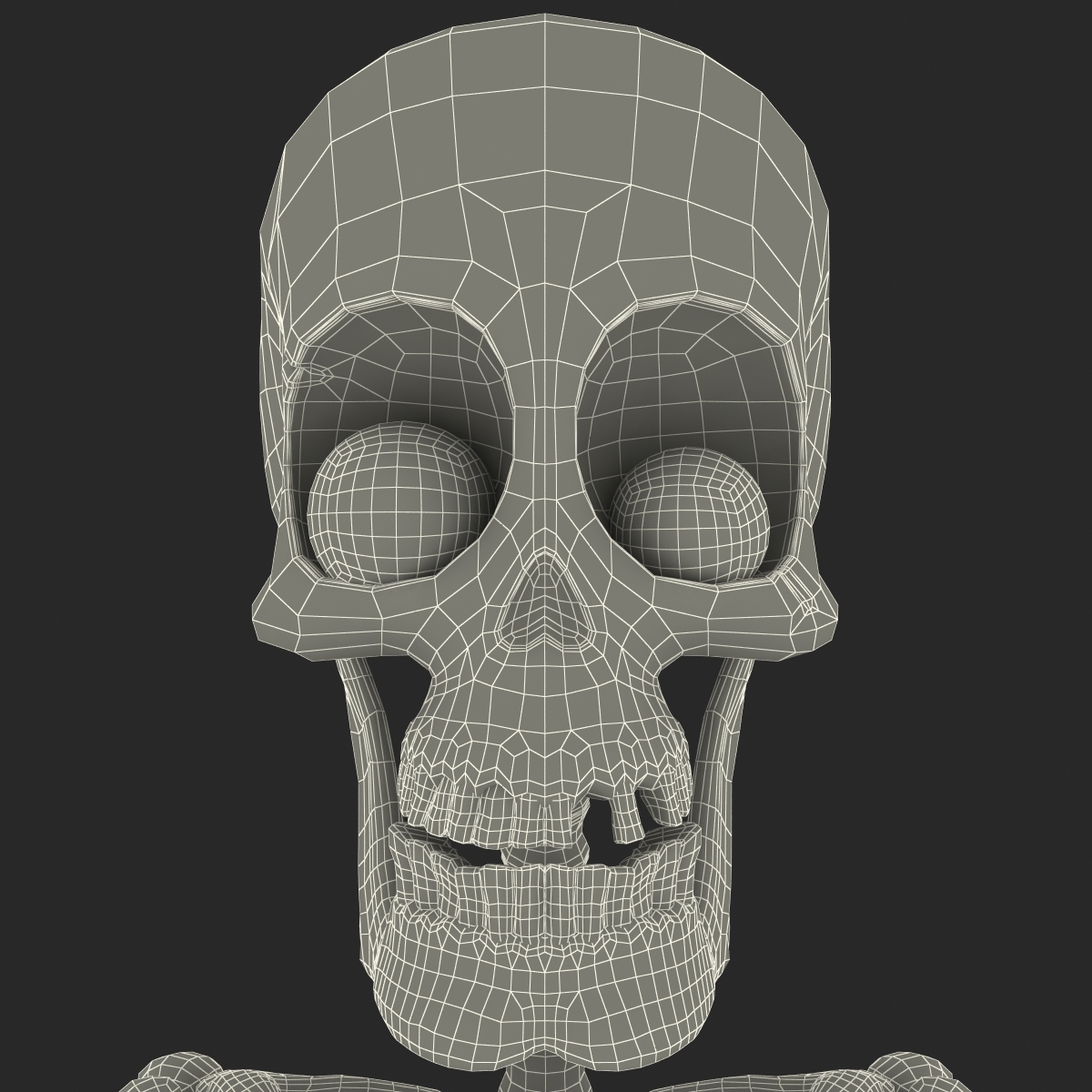 3d cartoon skeleton