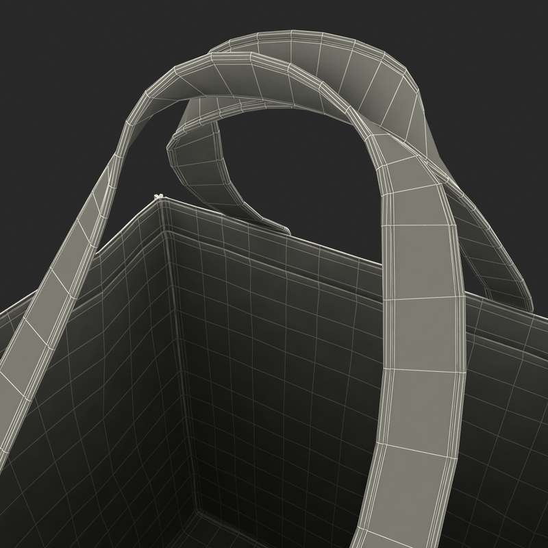 tote bag 3d model