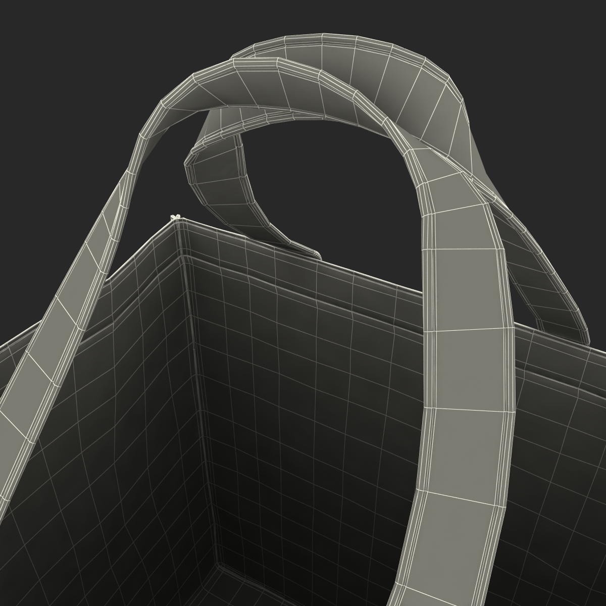 tote bag 3d model