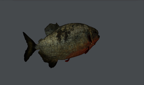 3d scary predator fish