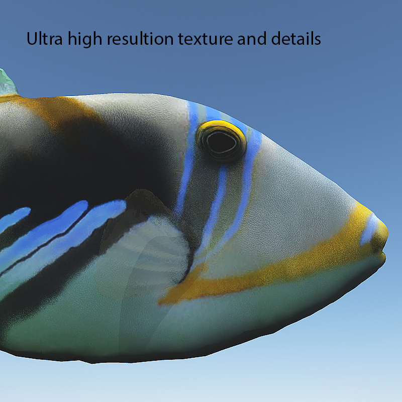 3d obj realistic triggerfish vue trigger
