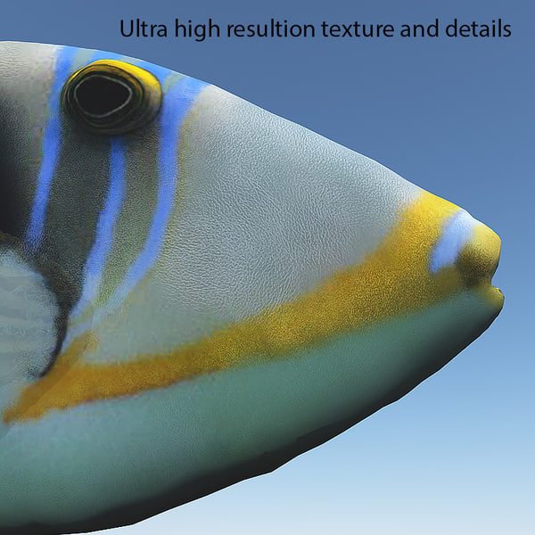 3d obj realistic triggerfish vue trigger
