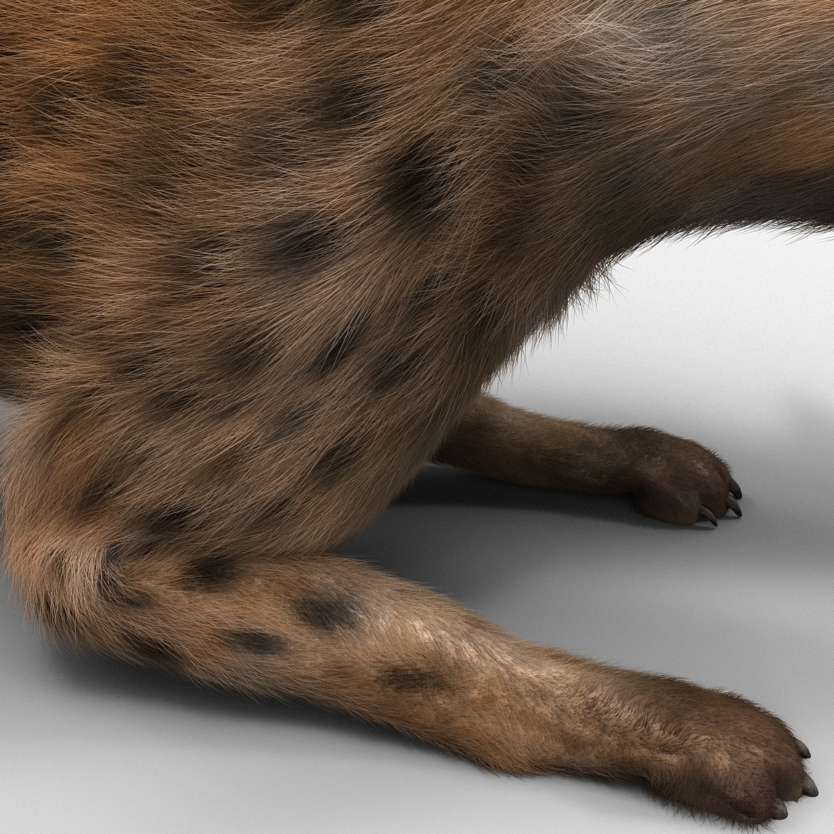 3d hyena pose 5 fur model