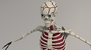 Human Skeleton Blender Models for Download | TurboSquid