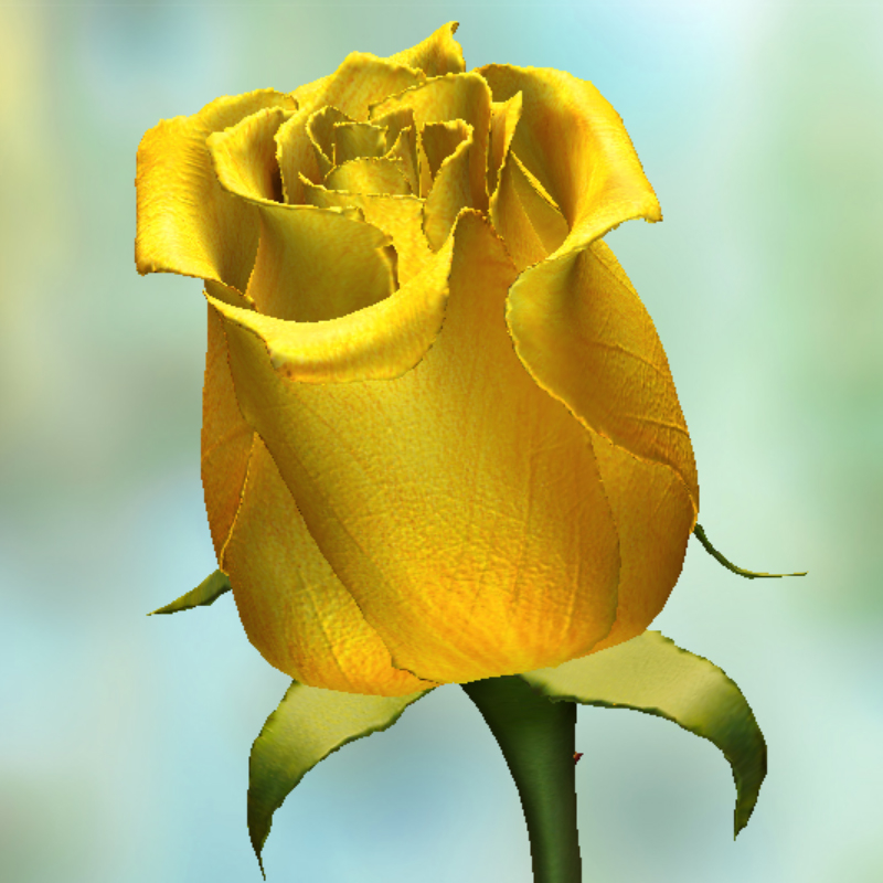 yellow rose 3d obj