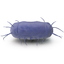 3d bacillus
