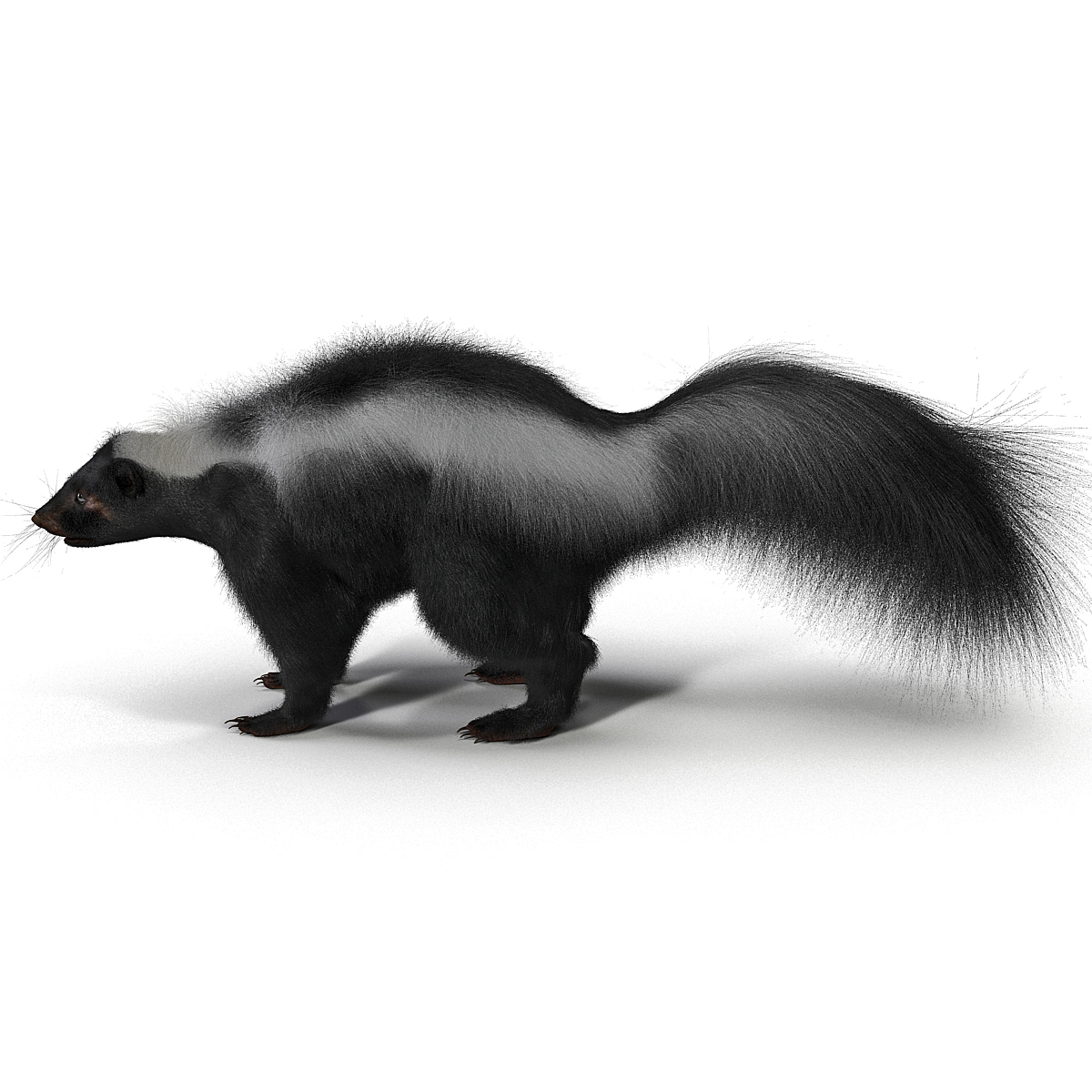 3d skunk fur