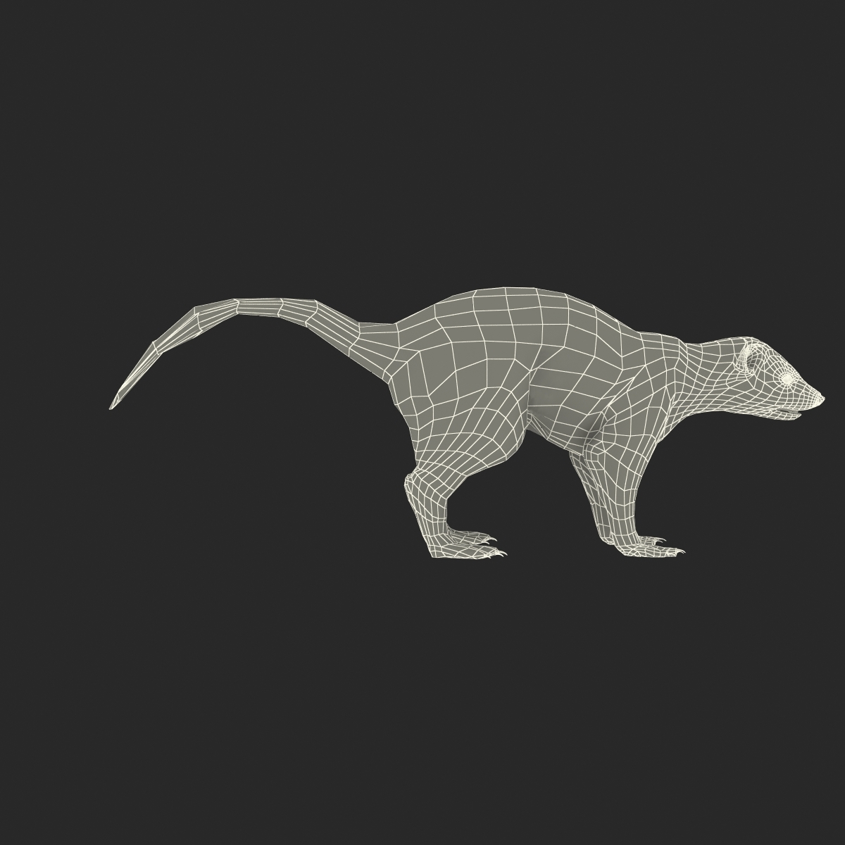 3d Skunk Fur