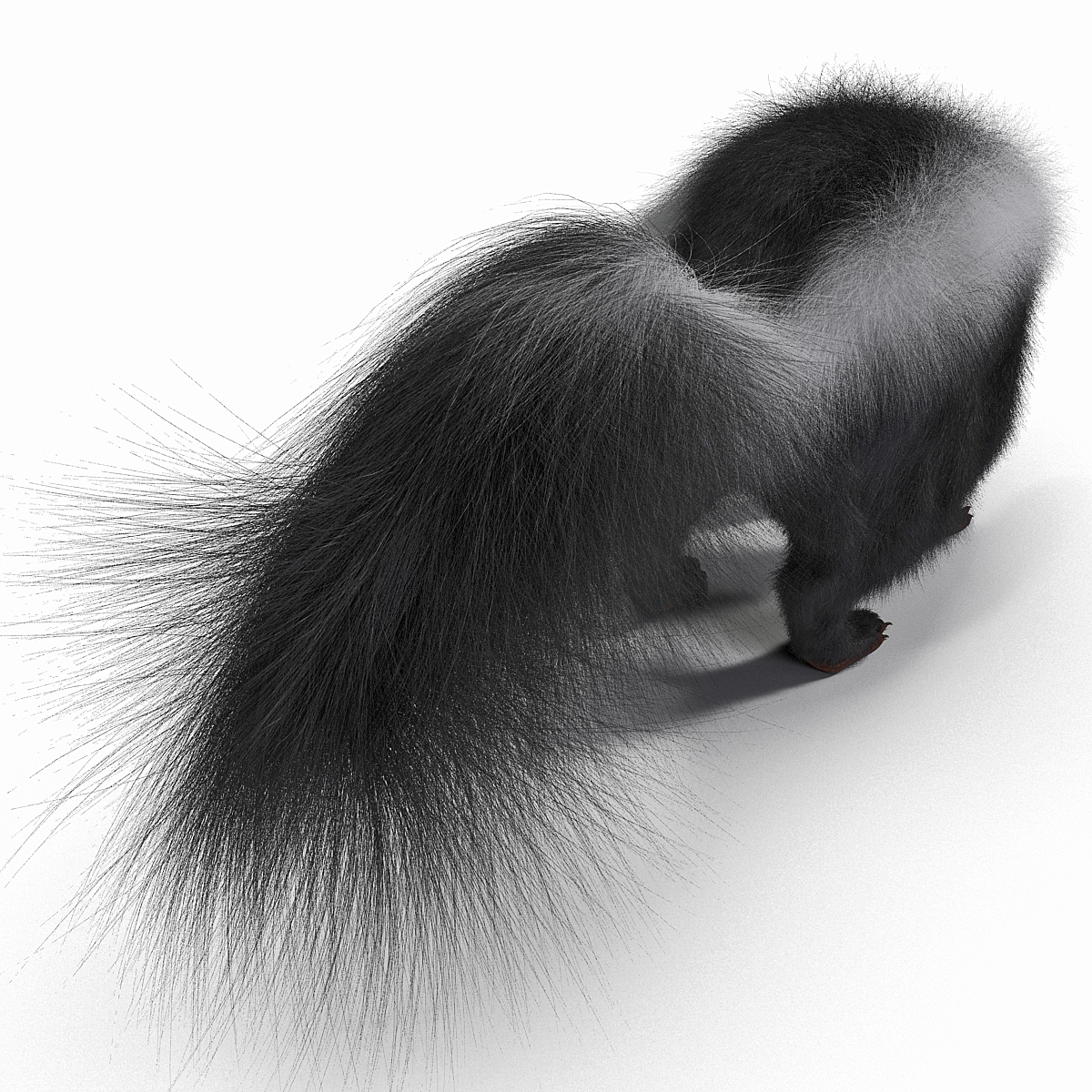 3d Skunk Fur