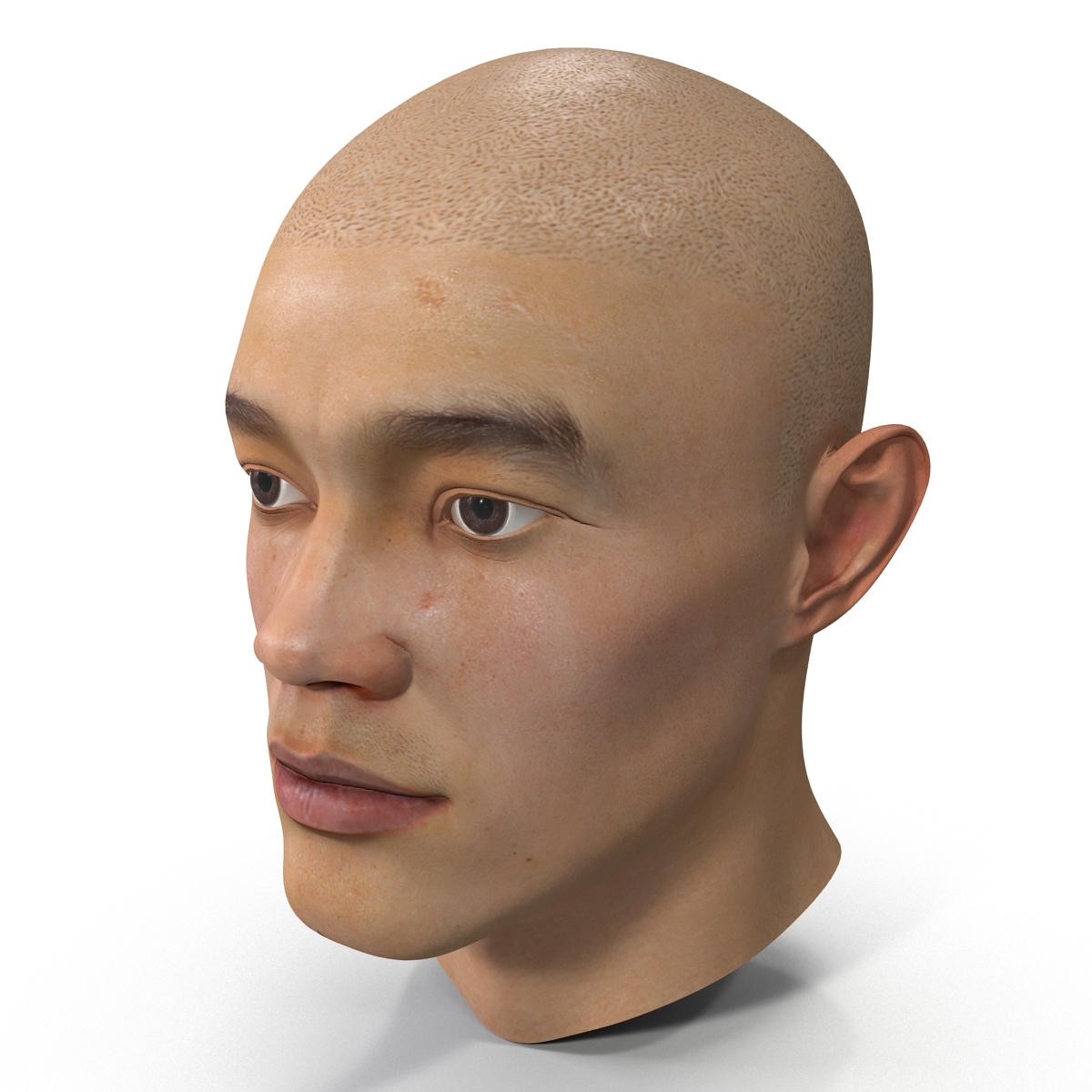 3d male head 11