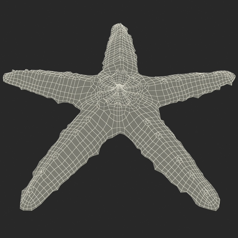 sea star 3d max