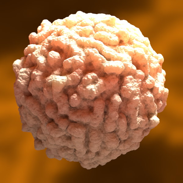 blood vessel cells 3d c4d