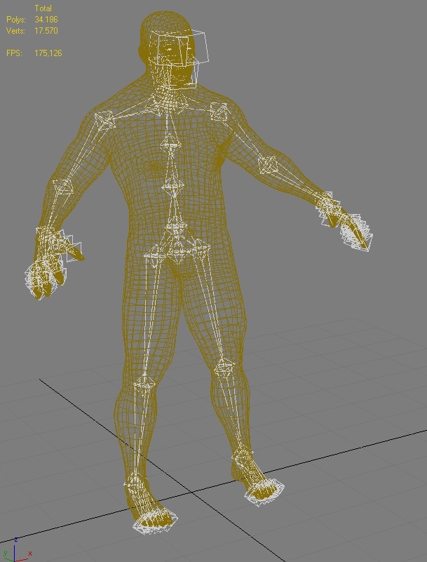 max rigged male character man