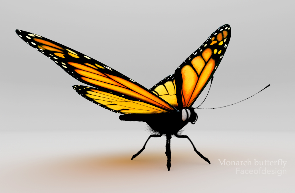 3d model monarch butterfly