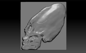 Skull STL Models for Download | TurboSquid