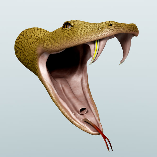 3d model of snake head