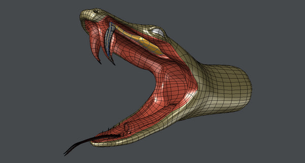 3d model of snake head