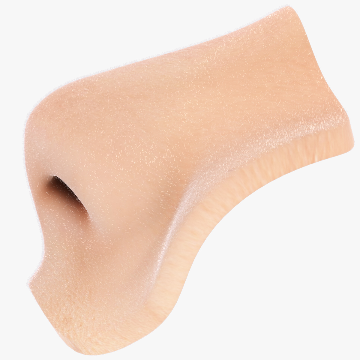 3d model realistic human nose