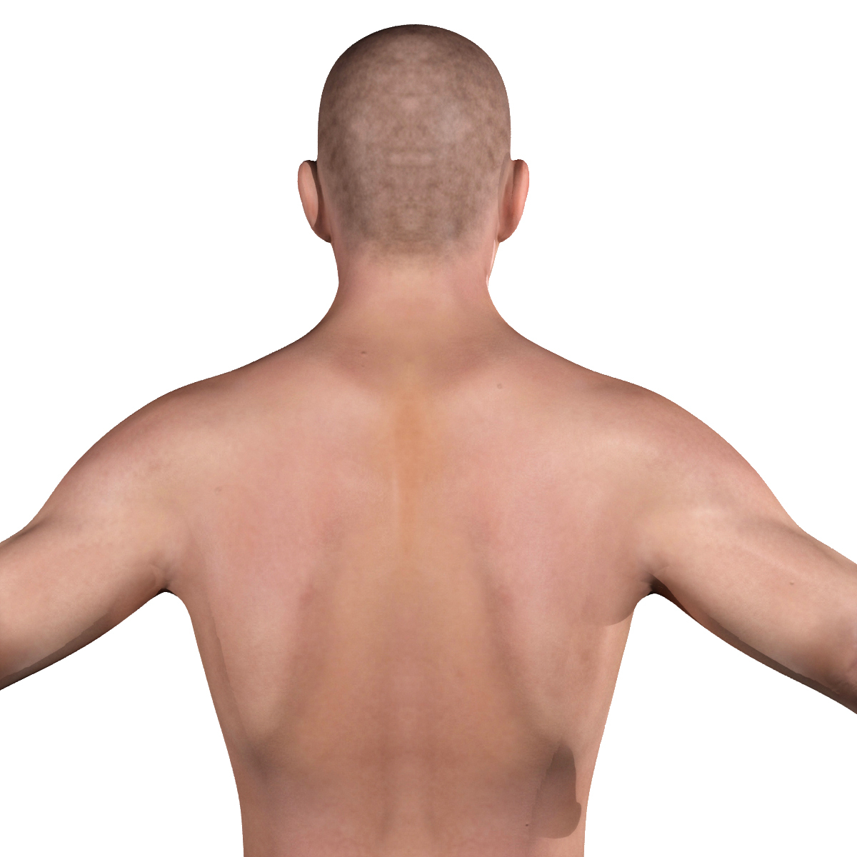 human anatomy male body skin 3d dxf