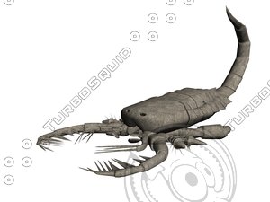 3D Eurypterid Models | TurboSquid