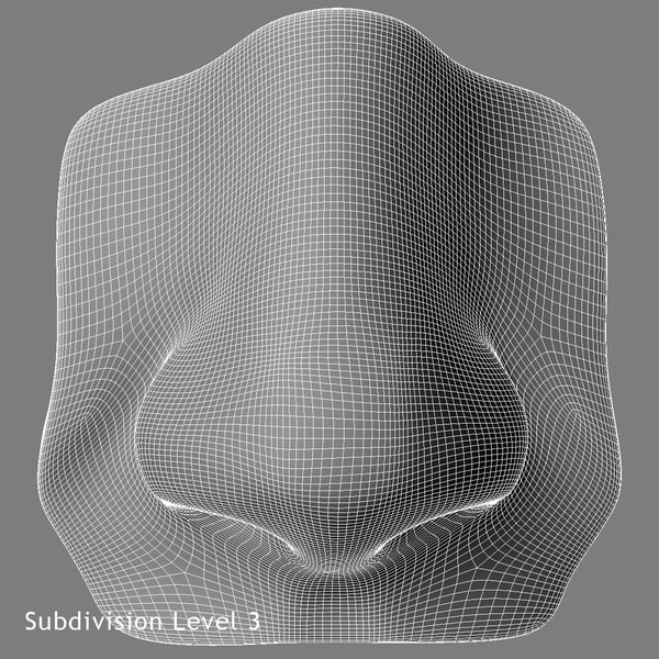 3d model realistic human nose