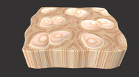 3d human bone s