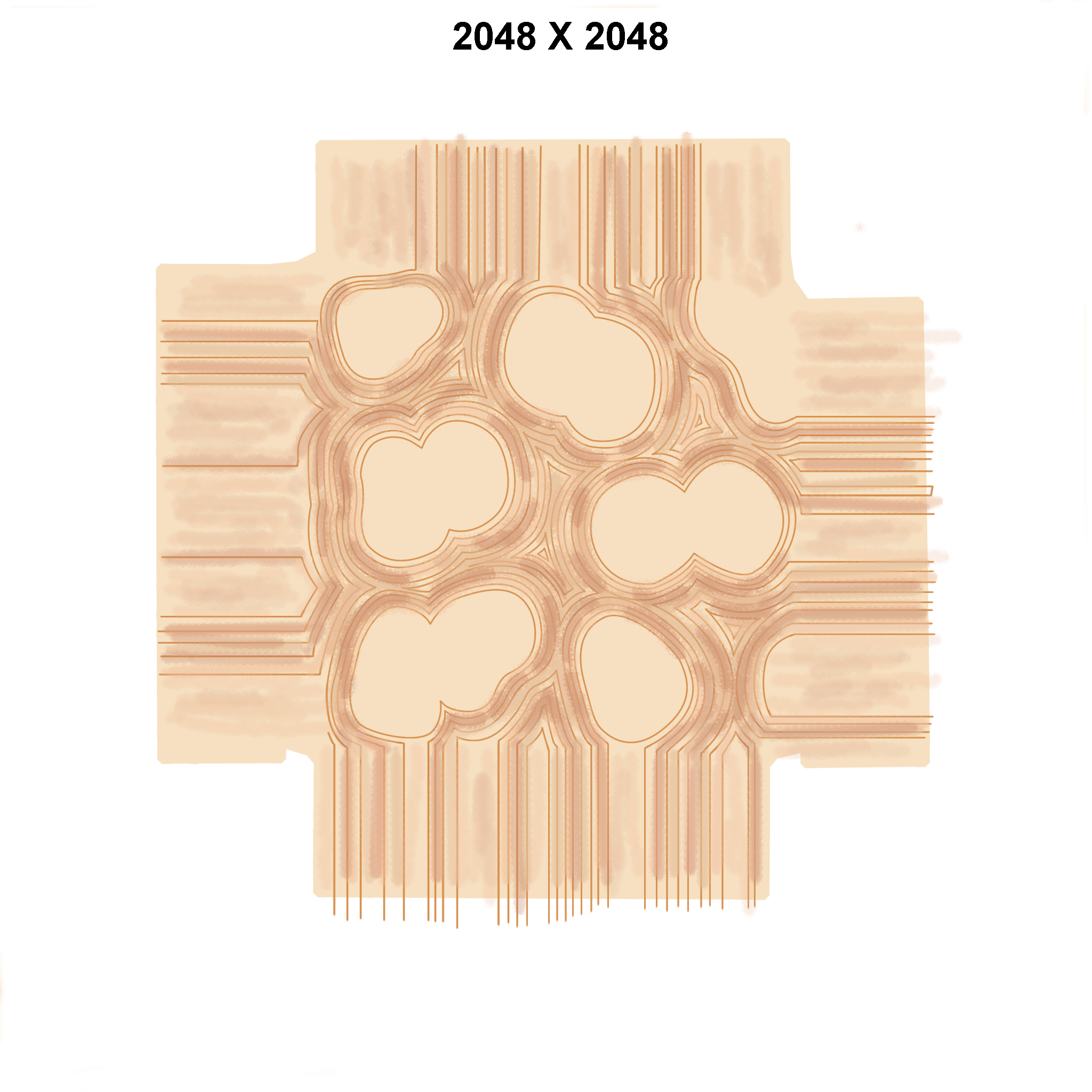 3d cartilage cell model