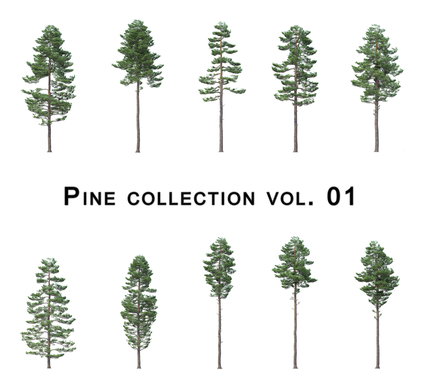 pine-trees pine tree 3d 3ds