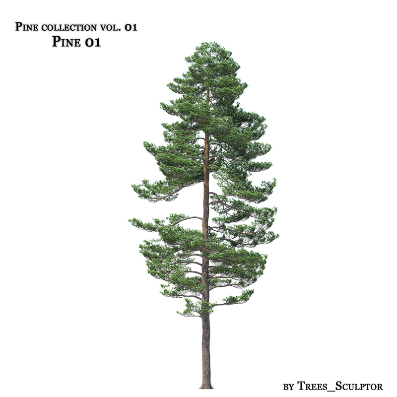 pine-trees pine tree 3d 3ds