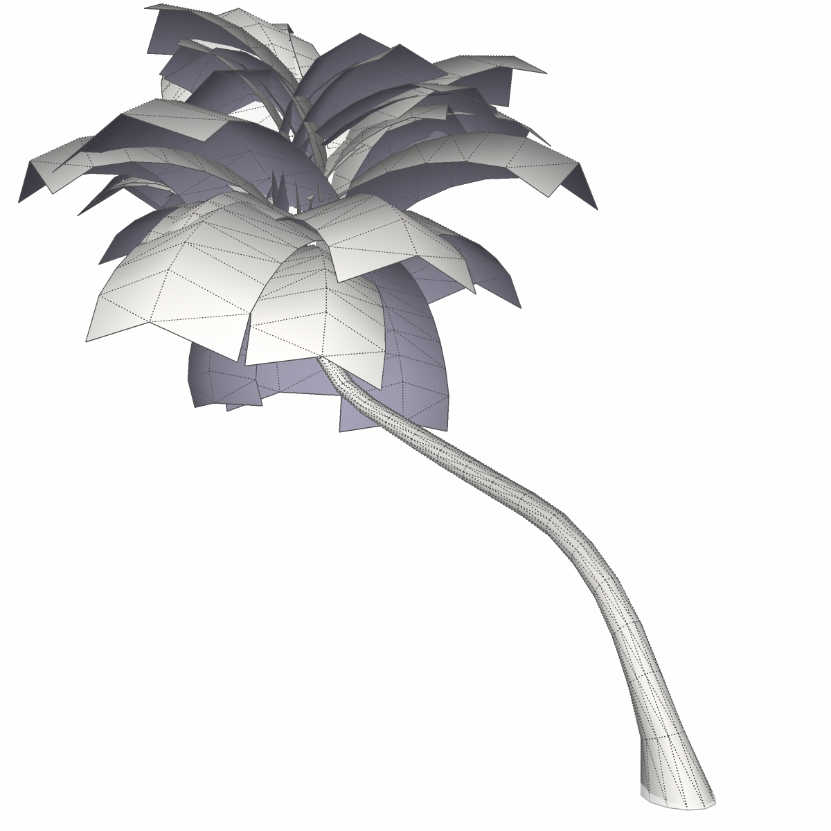 coconut palm tree 3d model