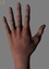 3ds max ready realistic hand