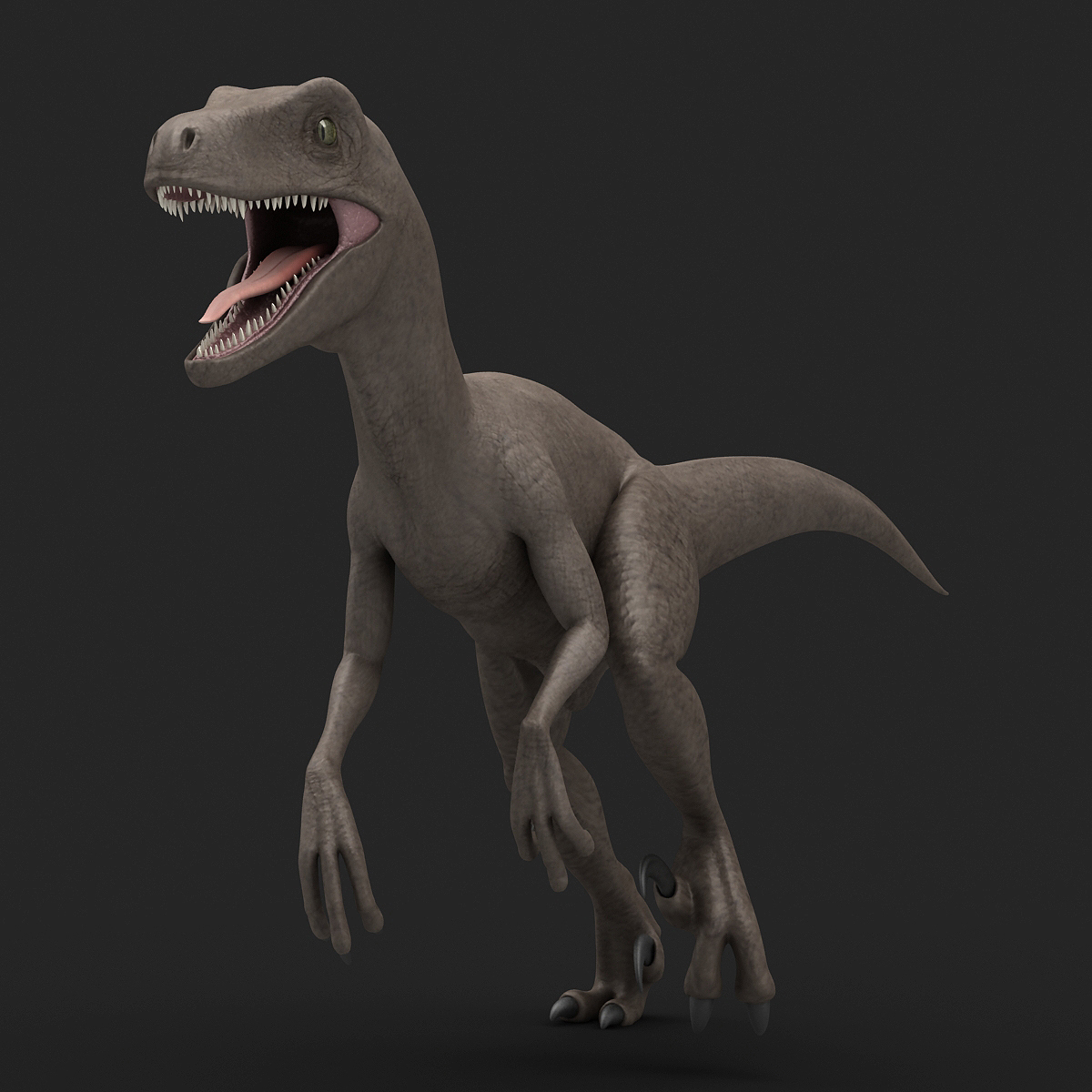 velociraptor dinosaur din00 3d c4d