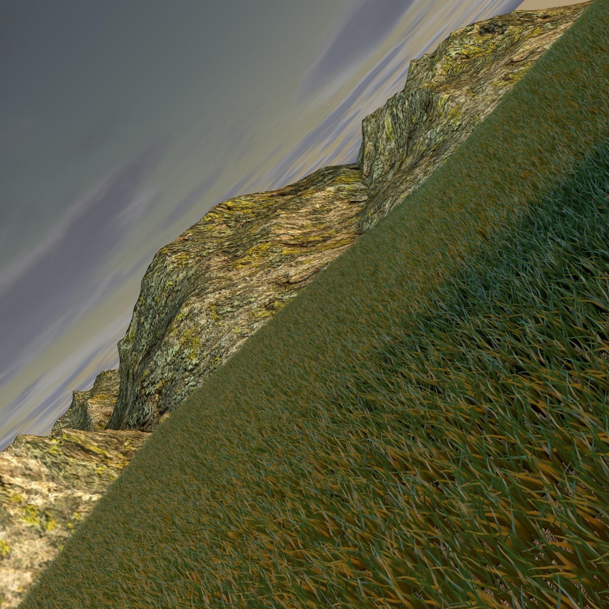 grassland grass 3d model