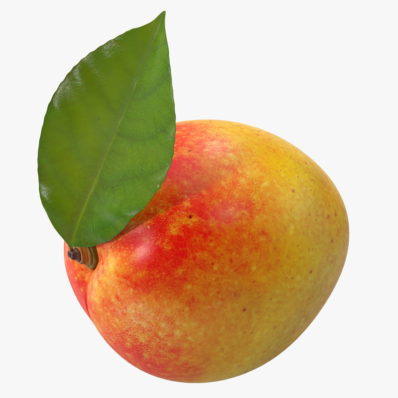 mango 4 3d model