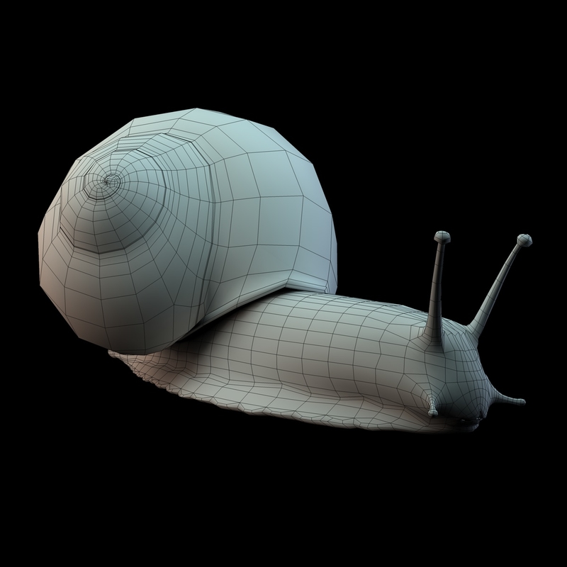 photo-realistic snail 3d ma