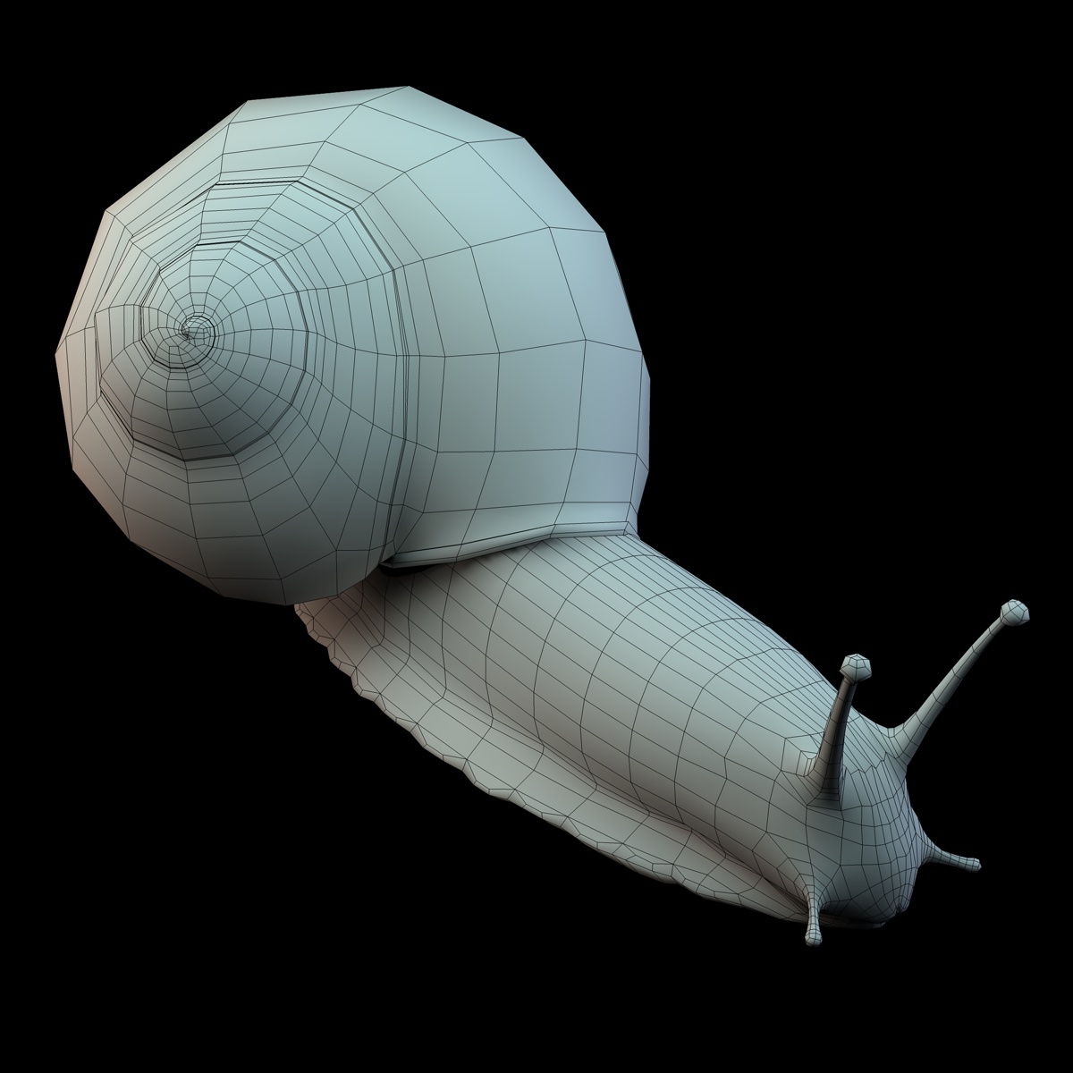 photo-realistic snail 3d ma