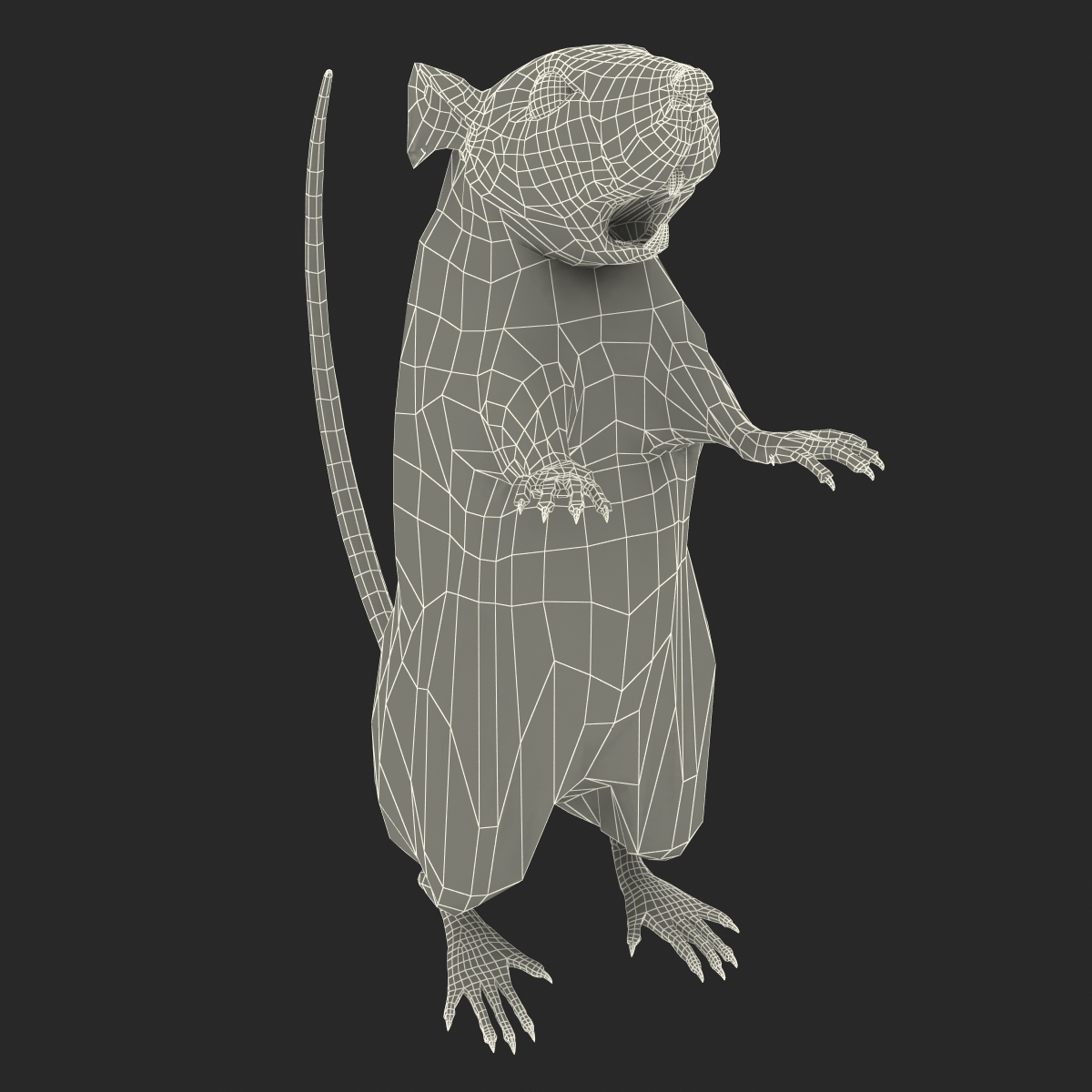 3d model of rat pose 3 fur