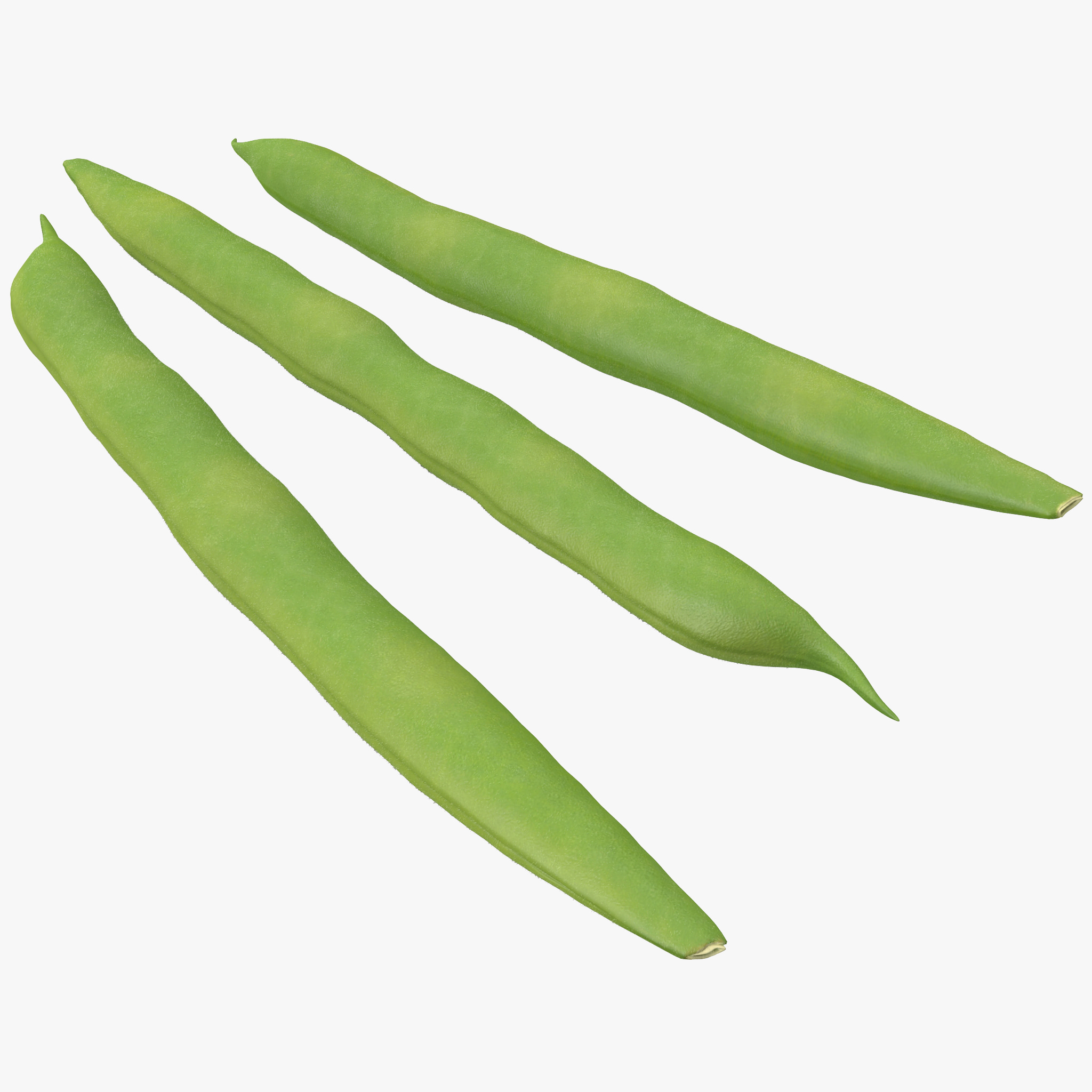 3d model green beans